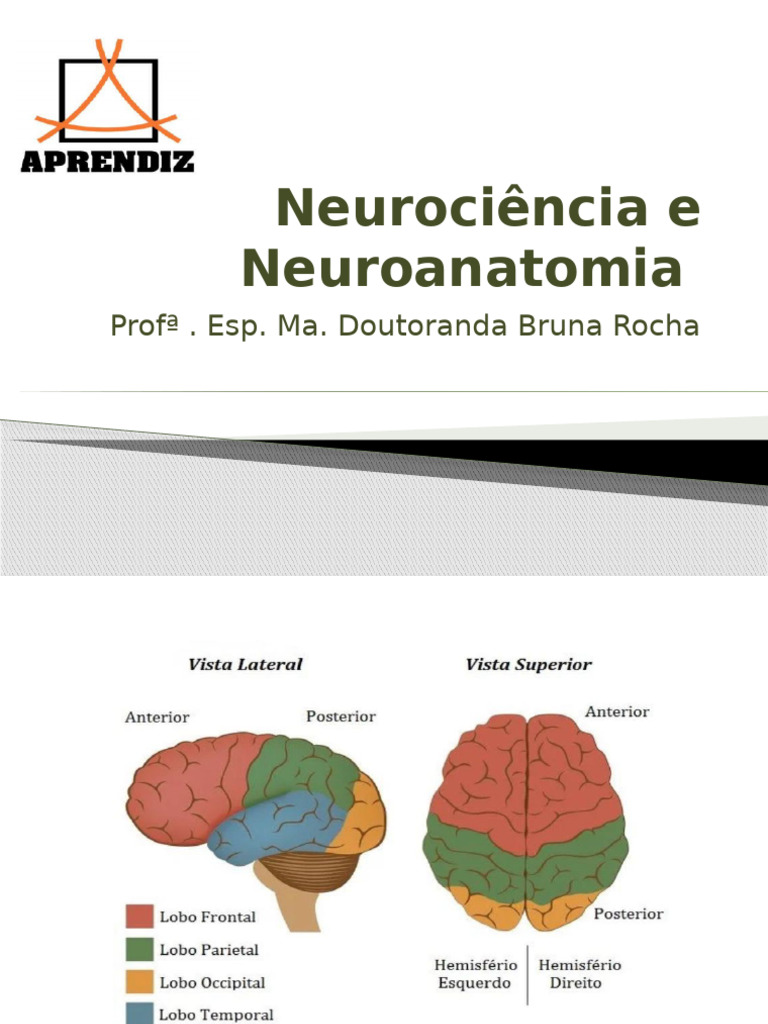 Aprendiz Aula 4-1 | PDF
