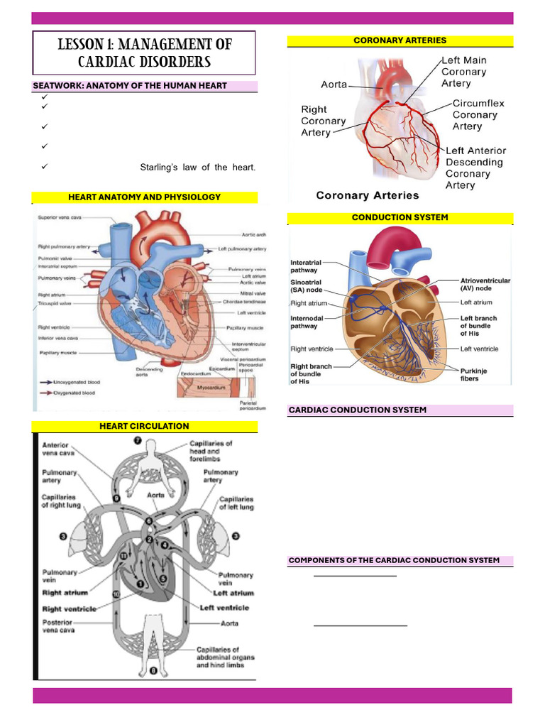 Medsurg Lec 1 | PDF