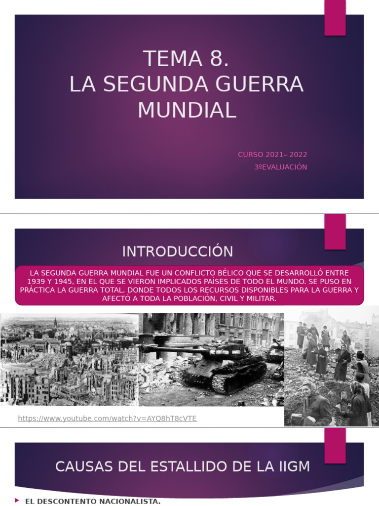 Tema 8. Iigm | PDF