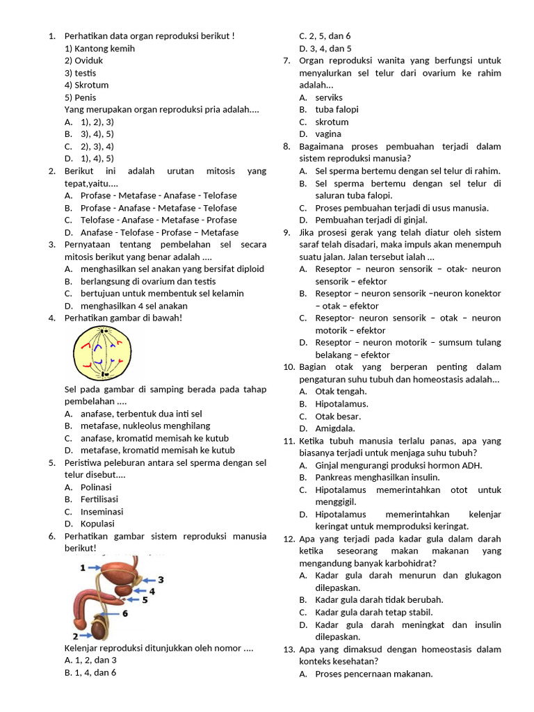 Latihan Soal UTS IPA Kelas 9 SMT 1 | PDF