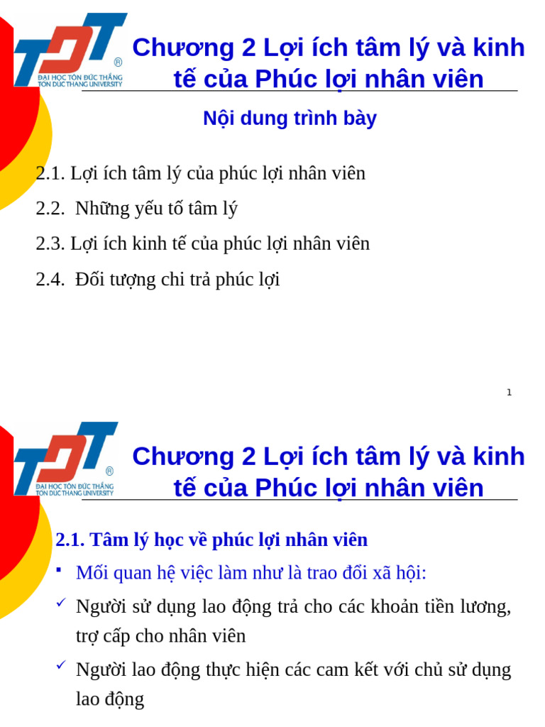 Chương 2 - Loi Ich Kinh Te Va Loi Ich Tam Ly Phuc Loi Nhan Vien | PDF