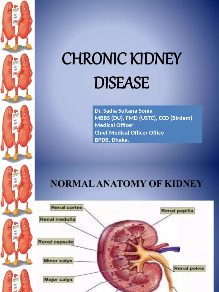 Chronic Kidney Disease | PDF