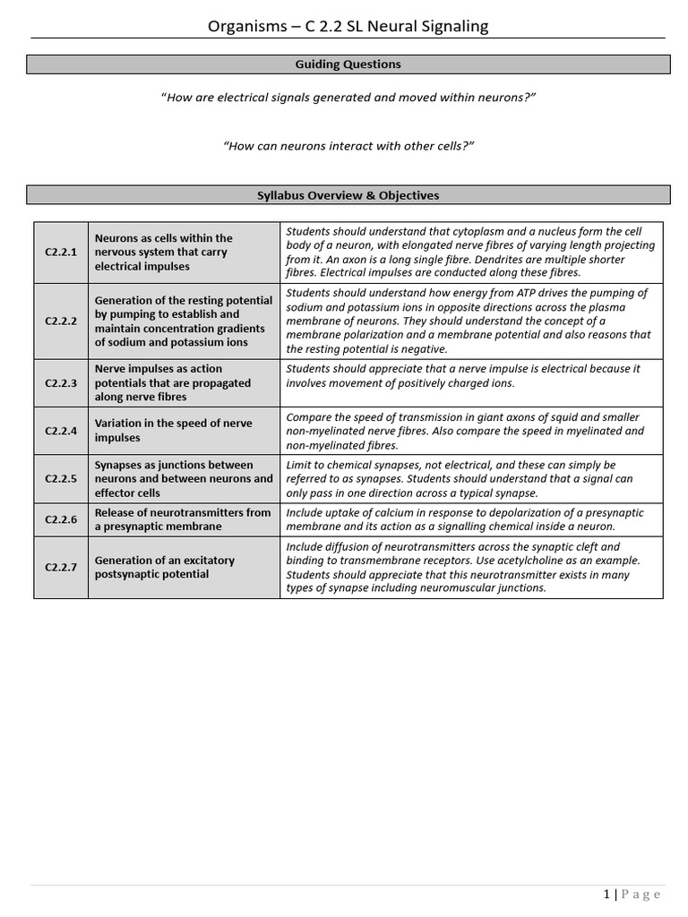 C 2.2 SL Neural Signaling - Student Notes | PDF | Action Potential ...