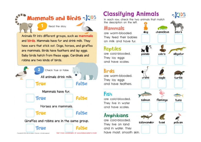 Mammals and Birds | PDF