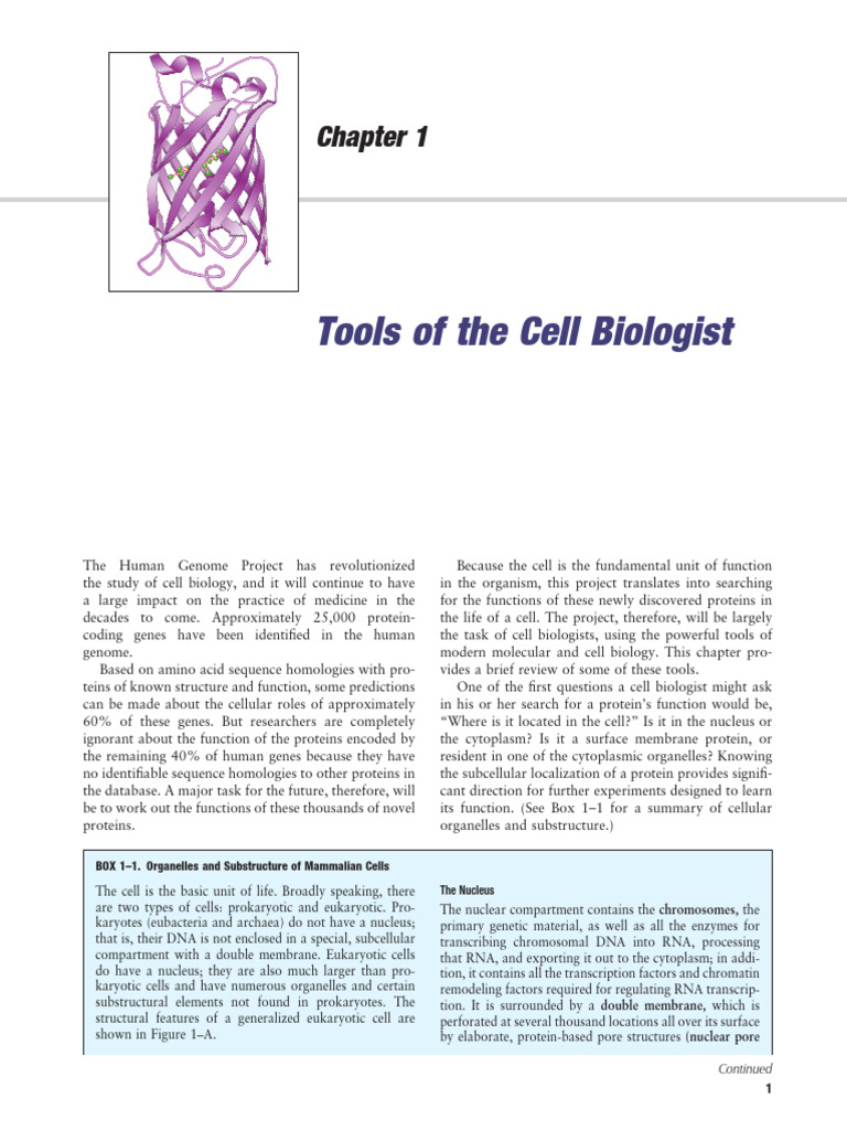 first-page-pdf | PDF