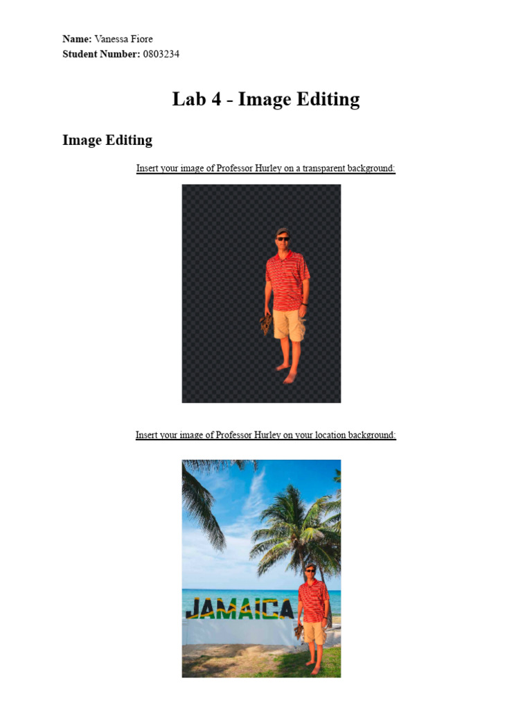 Lab 4 - Image Editing | PDF