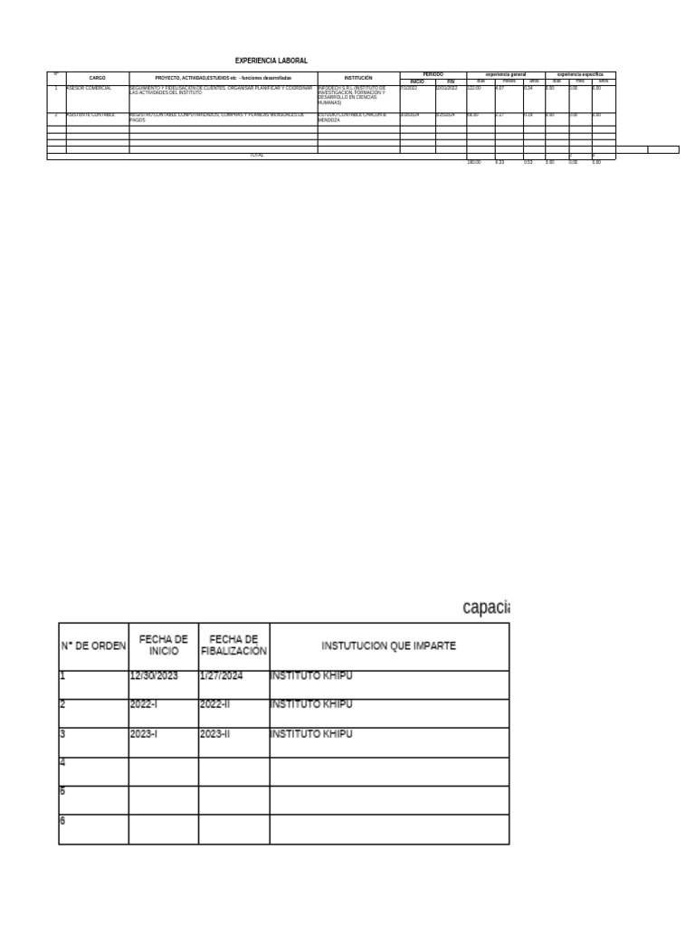 Experiencia LABORAL | PDF