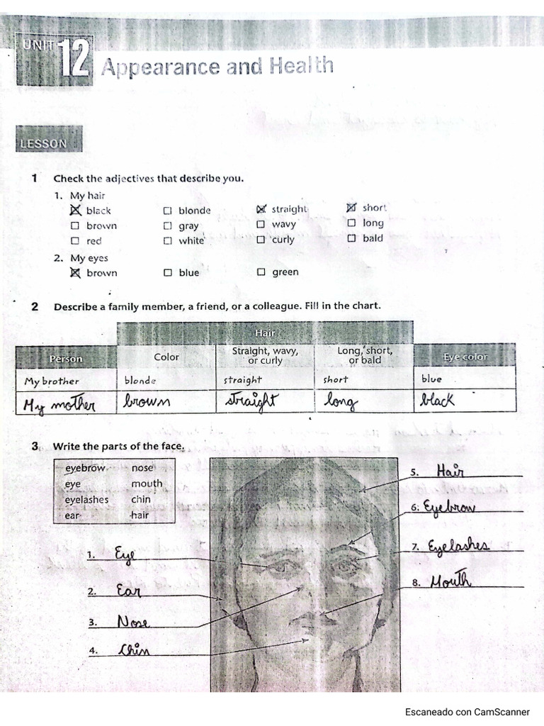 workbook unit 12 | PDF