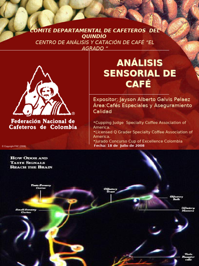 Cata Café y Sabor | PDF | café | Agricultura