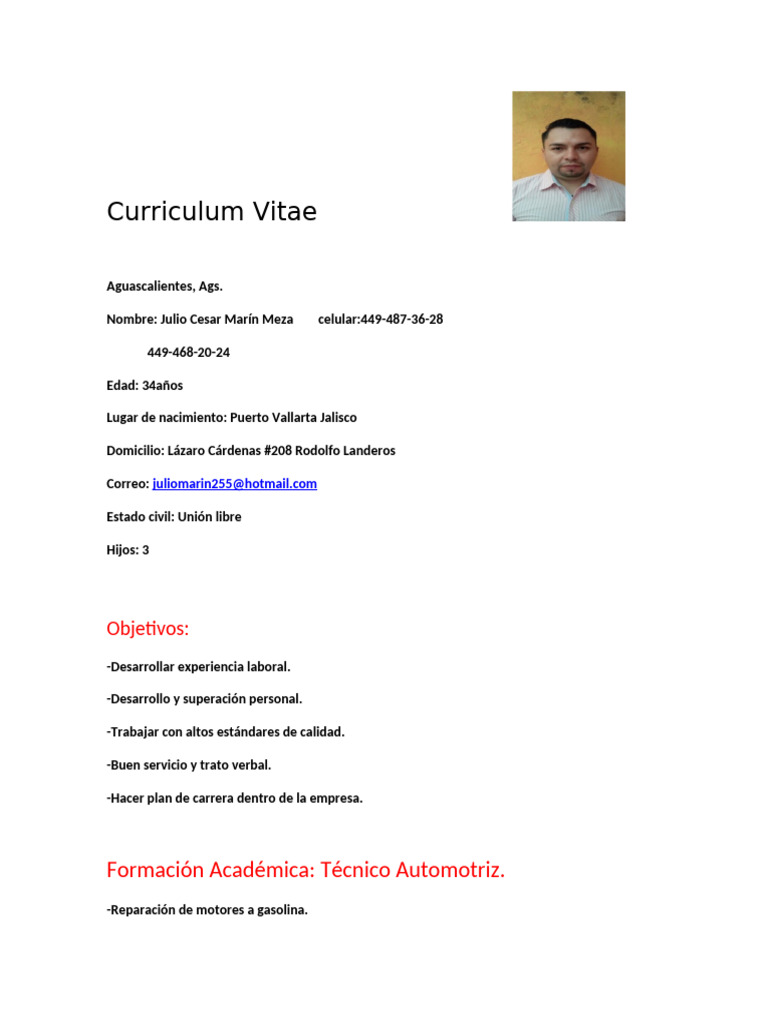 Curriculum Vitae Julio Marin 2023 | PDF