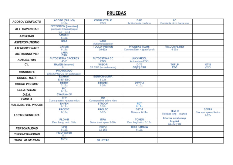 Esquema Pruebas | PDF