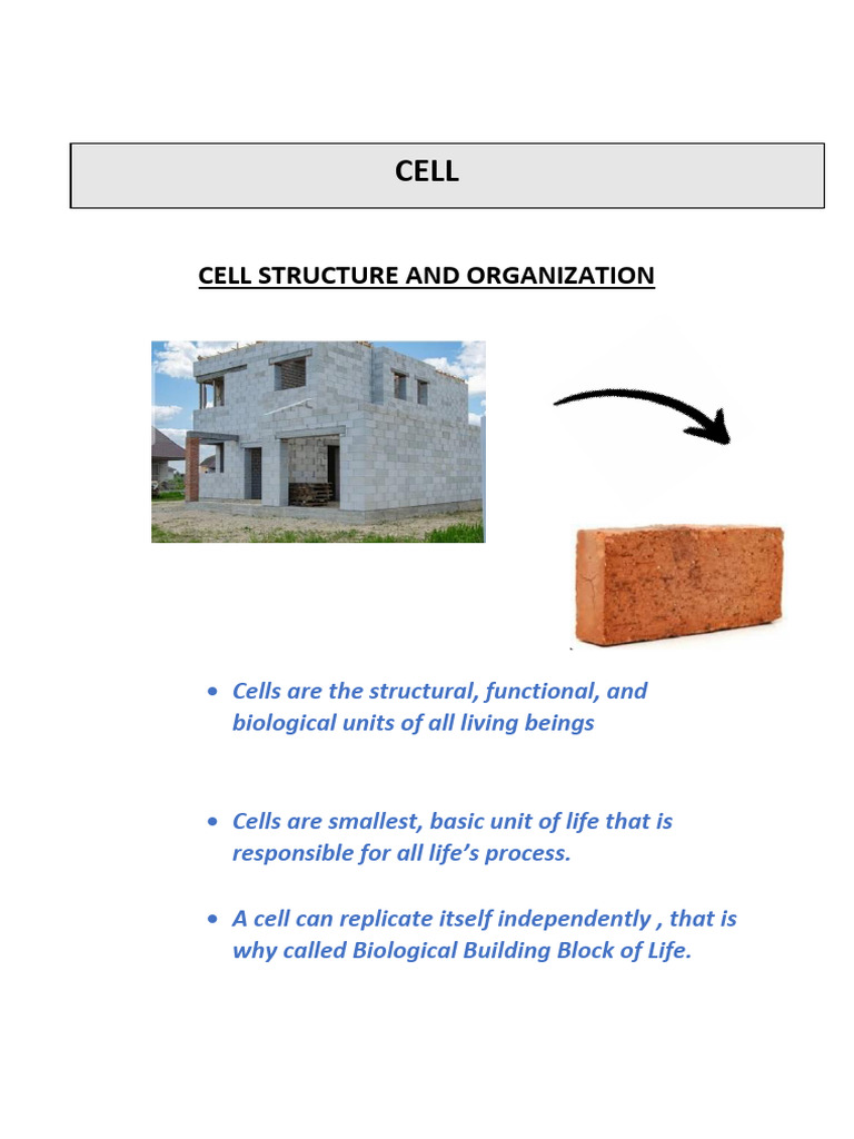 Unit 1 CELL | PDF