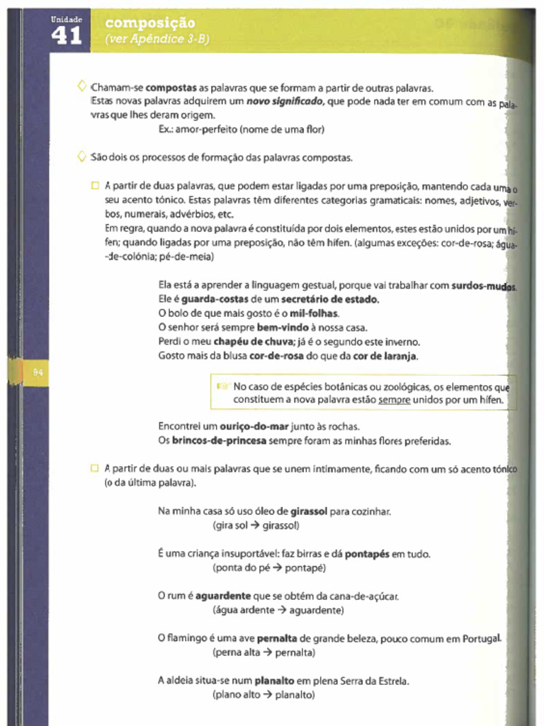 Gramatica Ativa 2 Unid 41 | PDF