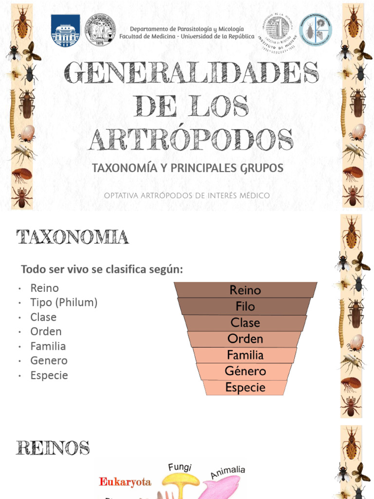 Generalidades de Los Artropodos | PDF