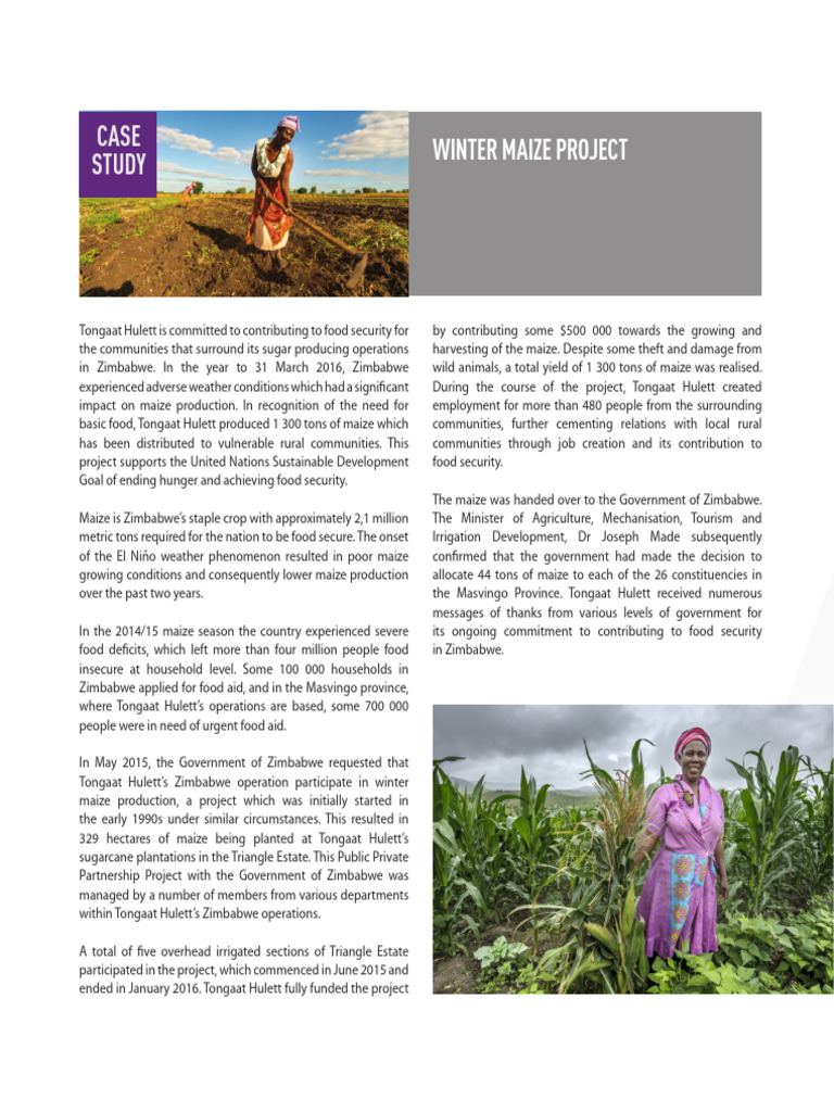 Winter Maize Project Case Study | PDF | Food Security | Maize