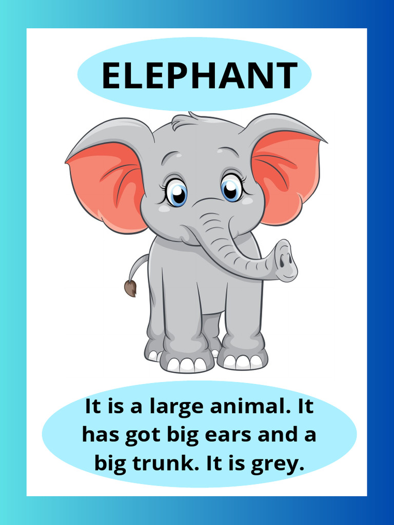 Animals Flashcards Posters | PDF