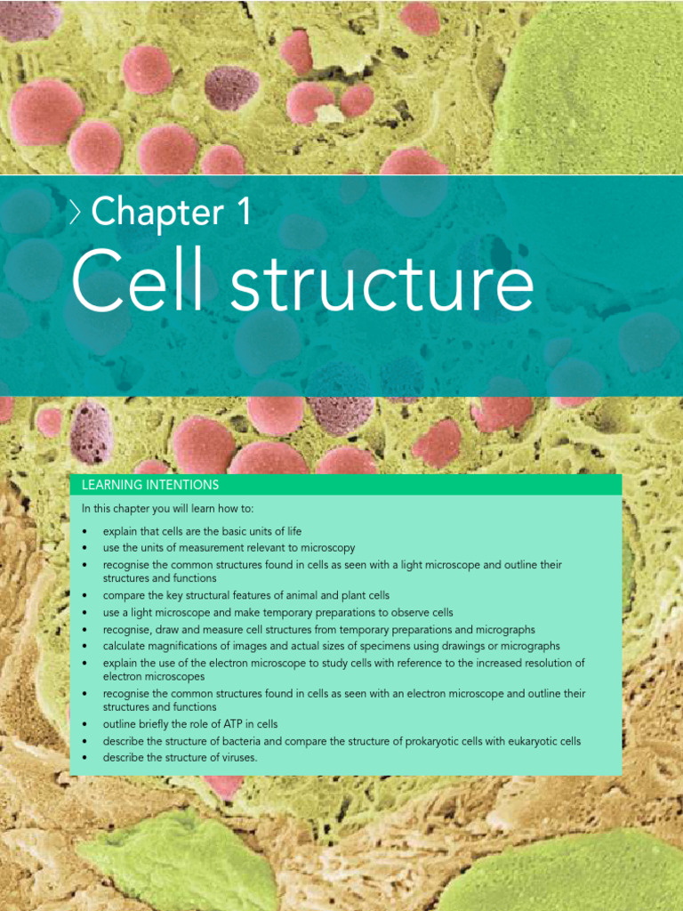 1_Cell structure | PDF