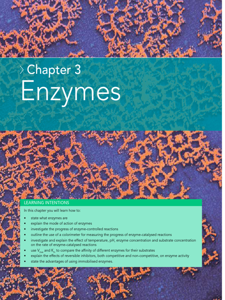3 Enzymes | PDF