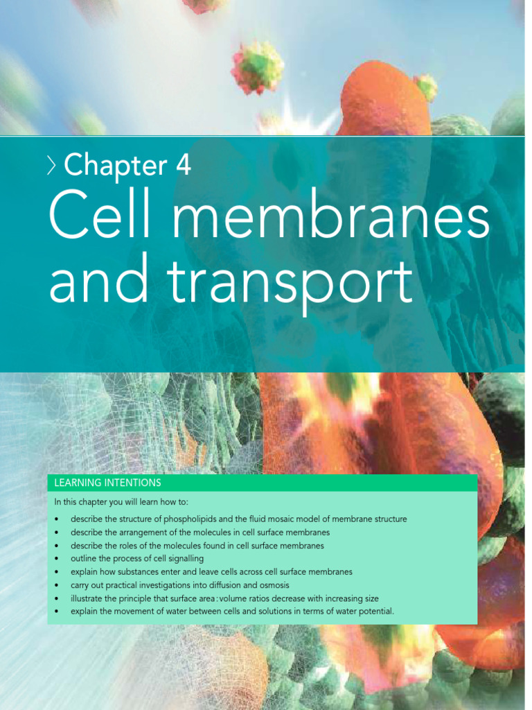 4 - Cell Membranes and Transport | PDF