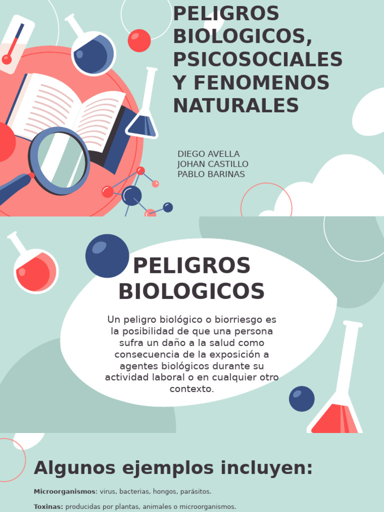 Peligros Psicosociales | PDF