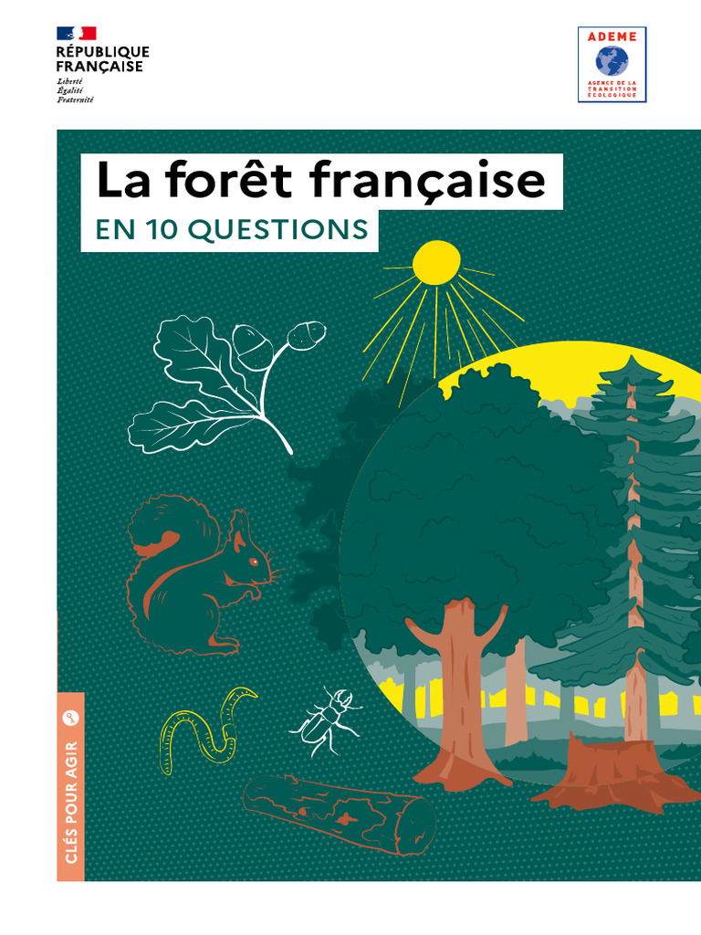 Guide Foret Francaise 10 Questions | PDF