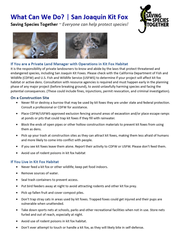 Kit Fox What Can We Do One Sheet | PDF