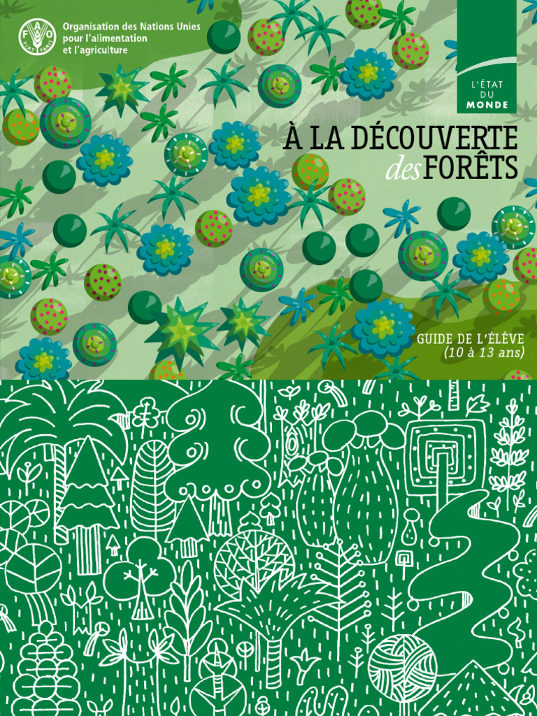Forests Kids À La Découverte Forêts: State of The World S Forests | PDF