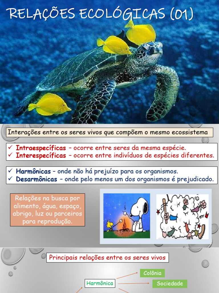 Relações Ecológicas 01 (Aula 04) | PDF