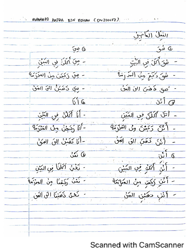 Fiil Madhi (DN220052) Muhammad Amirul Bi | PDF