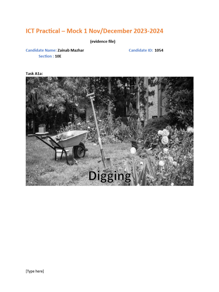 Mock 1 Evidence File | PDF
