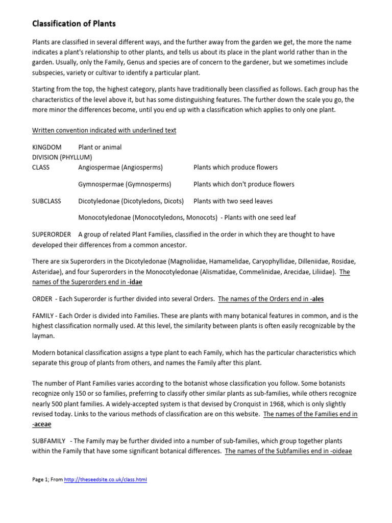 Classification of Plants | PDF