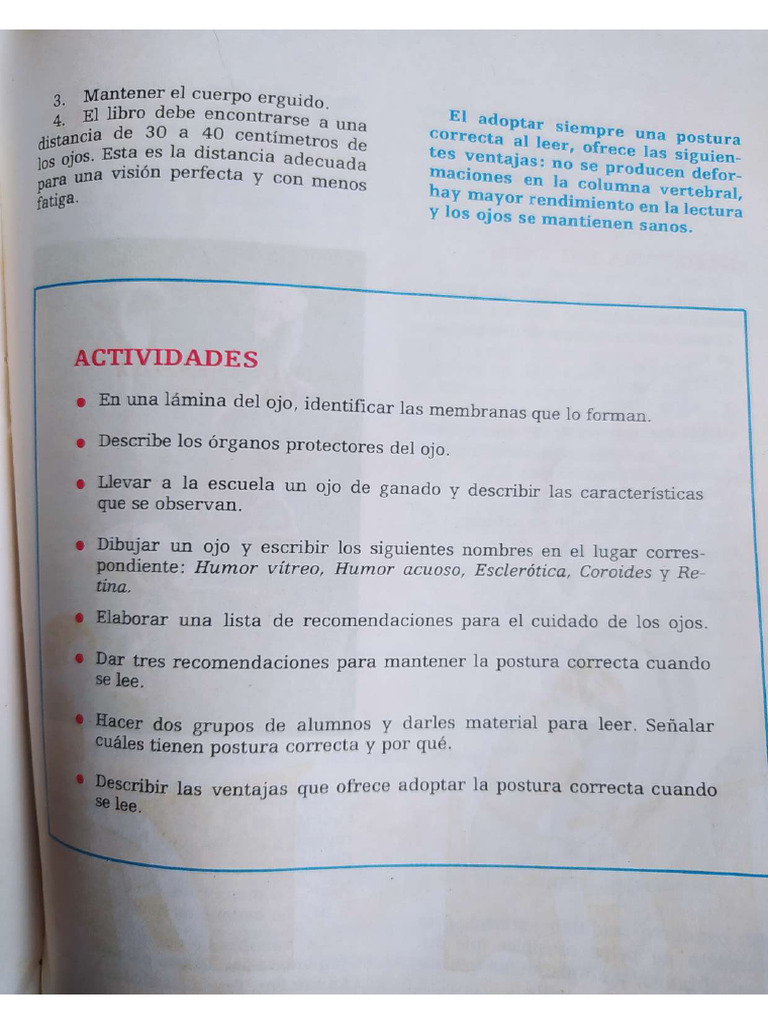 Órganos de Los Sentidos: El Ojo | PDF
