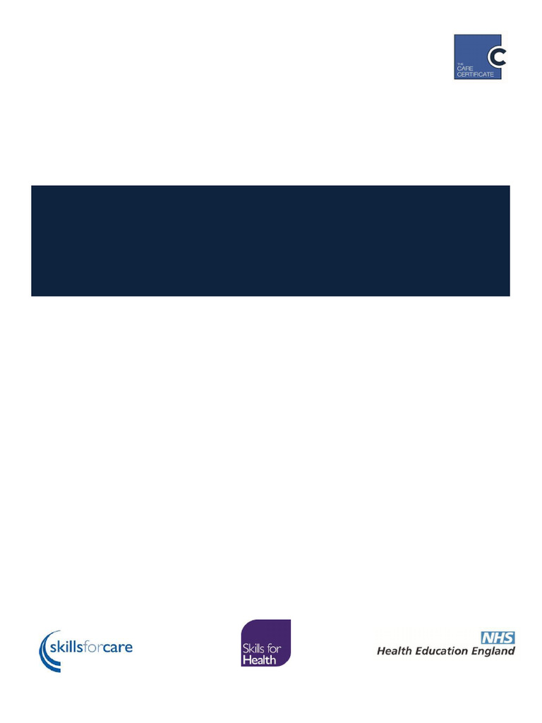 Care Certificate Standards | PDF