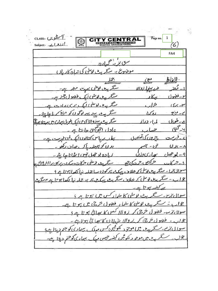 FA4 8TH Urdu, Kash, Islam | PDF | Technology & Engineering | Home & Garden