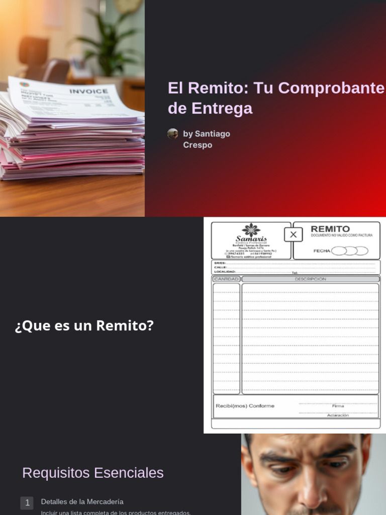 El Remito | PDF