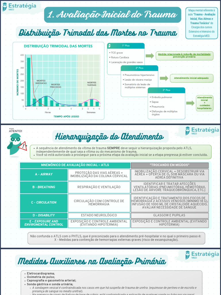 Mapa Atend Inicial Trauma | PDF
