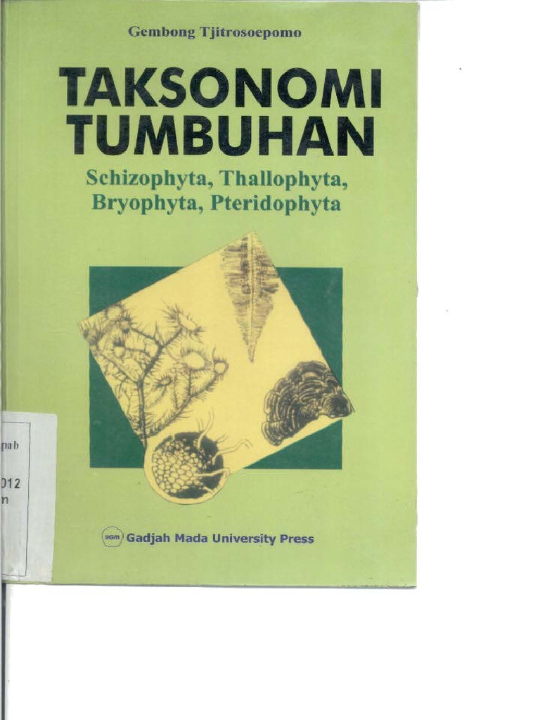 1 Taksonomi Tumbuhan Schizophyta, Thallophyta, Bryophyta, Pteridophyta ...