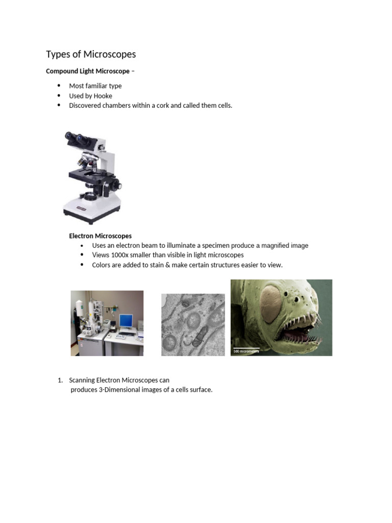 Microscopes | PDF