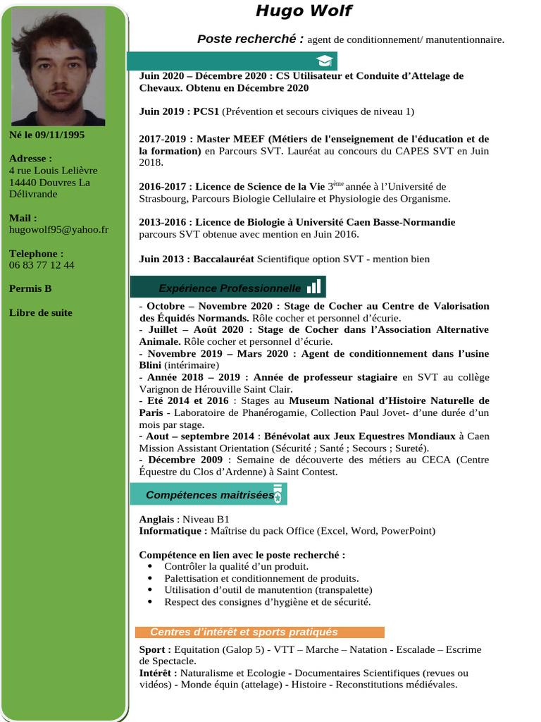 CV Hugo Wolf Manutention | PDF