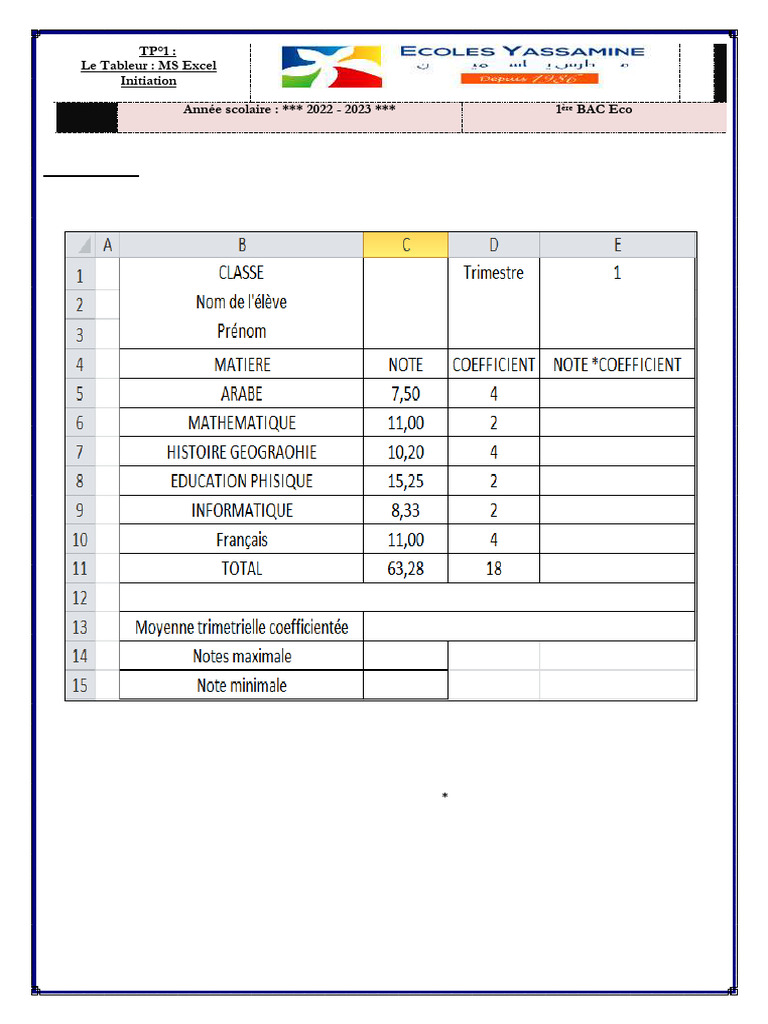 TPn°1 MS Excel Initiation | PDF