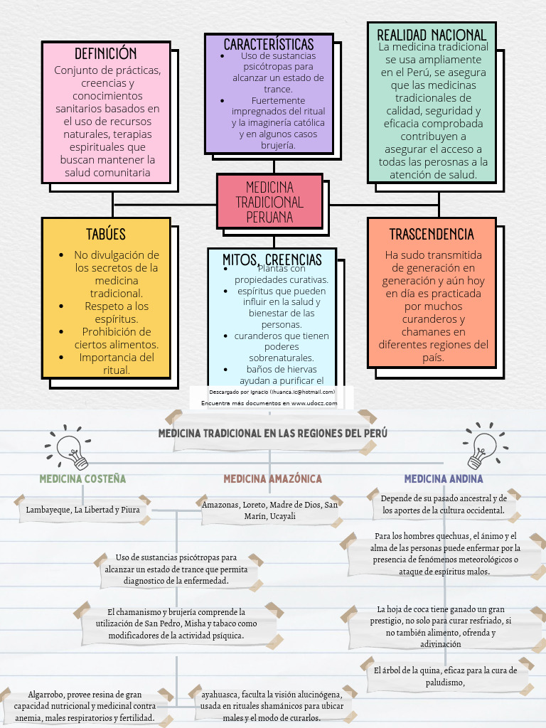 Mapa-Conceptual Medicina Tradicional | PDF
