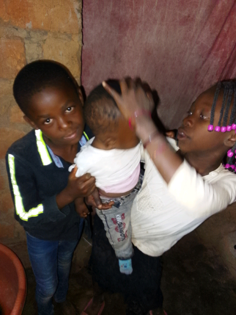 PDF Phoenix 20240826 173748 | PDF