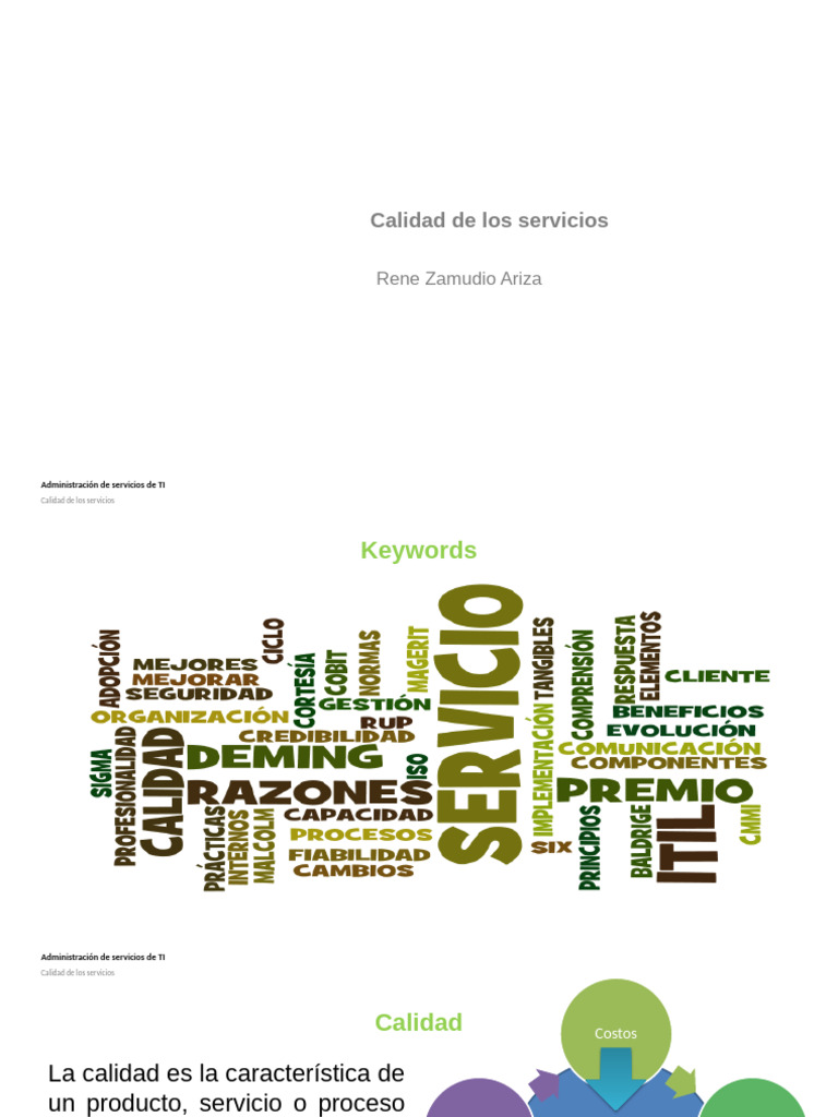 Calidad de Los Servicios: Rene Zamudio Ariza | PDF