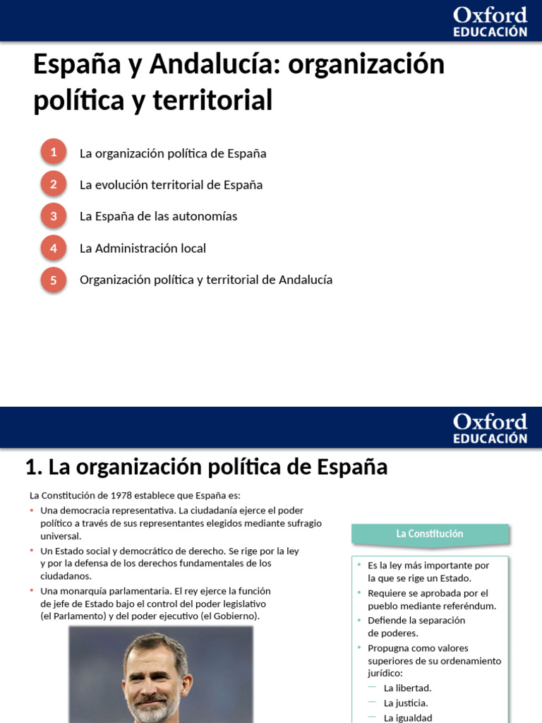 Esp and Org Pol Presentacion | PDF