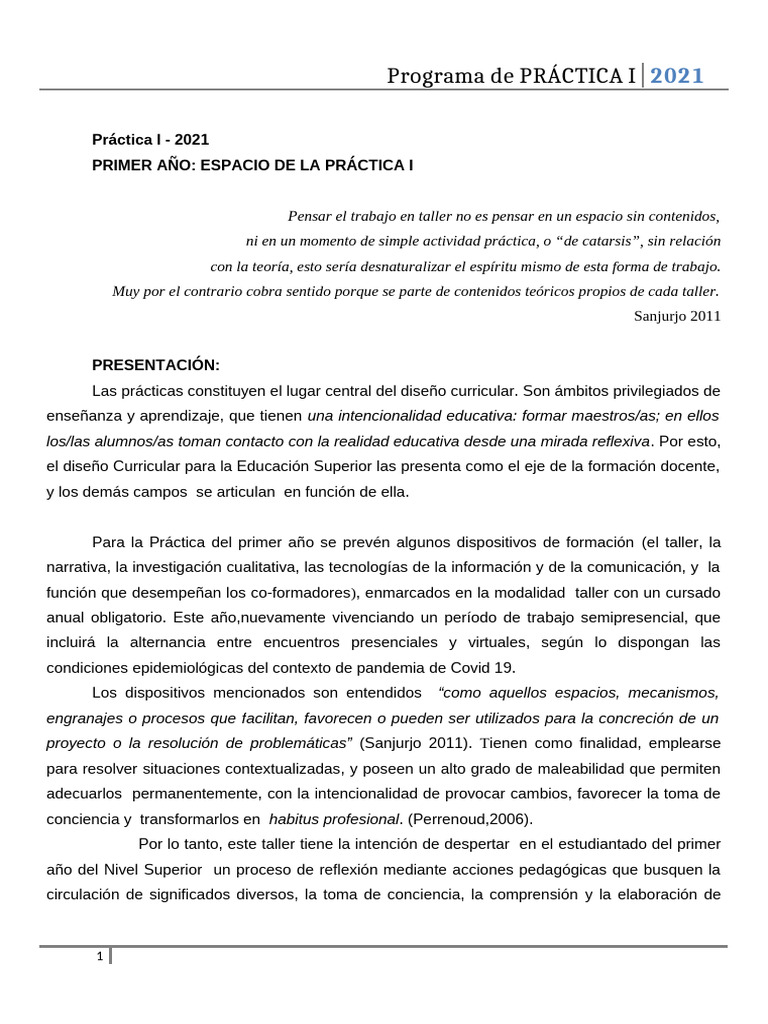 Programa Practica I 2021 | PDF