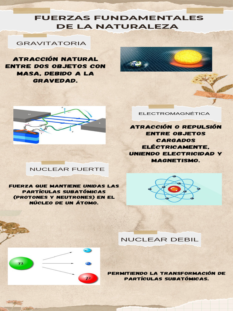 Fuerzas fundamentales de la naturaleza | PDF