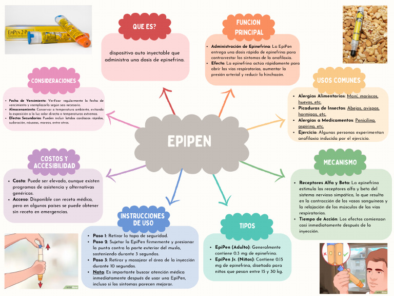 Mapa Mental Epipen | PDF