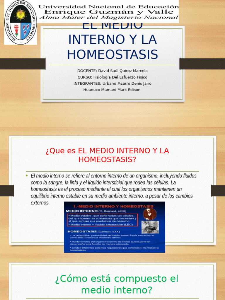 El Medio Interno y La Homeostasis Denis Urbano | PDF