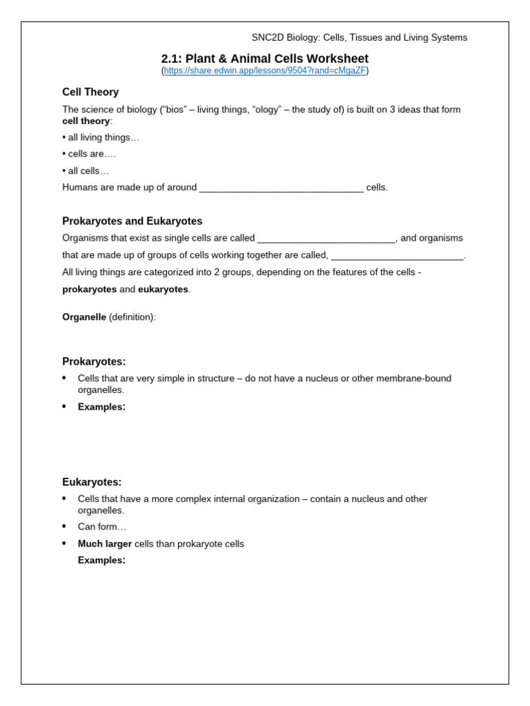 2.1 - Plant & Animal Cells Worksheet | PDF