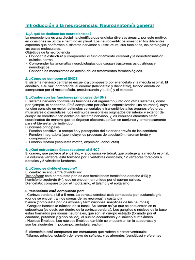 Guía de Preguntas y Respuestas Sobre Neurociencia | PDF